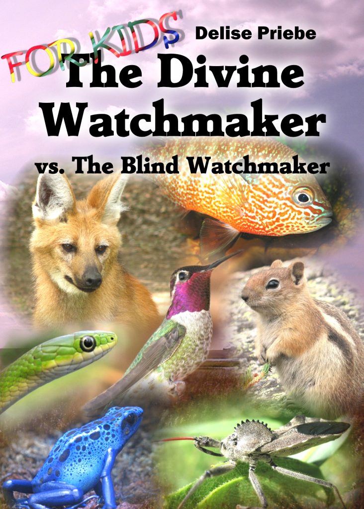 Shop - Dennis Priebe